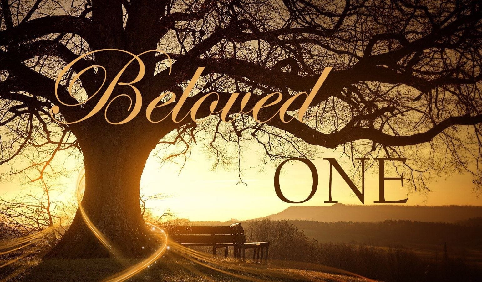 Beloved One | Jay Ferguson